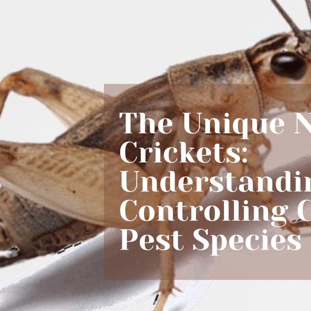 The Unique Names of Crickets: Understanding and Controlling Common Pest ...