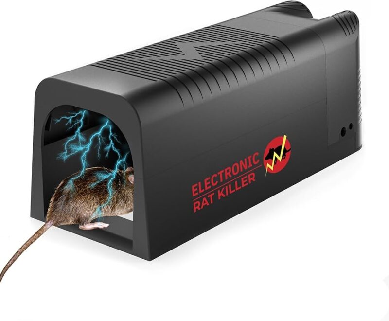 Choosing The Best Small Rodent Trap For Your Home - Pesticontrol