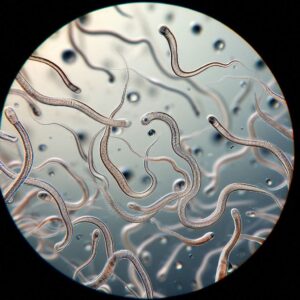 What Eats Termites? 5 Natural Predators of Termites - Pesticontrol